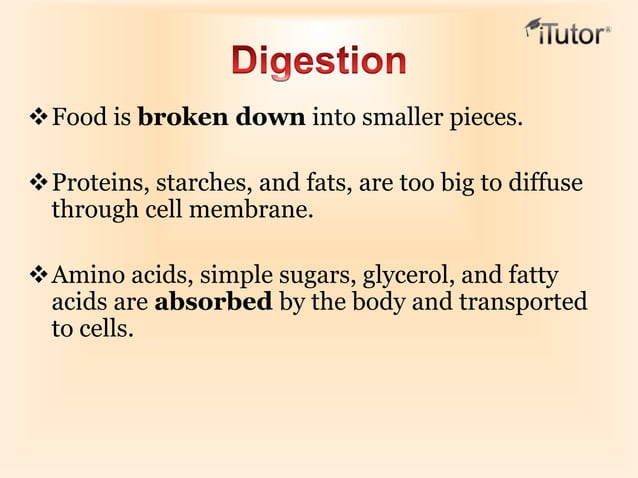 Nutrition & digestive system | PPTX | Digestive Disorders | Diseases ...