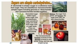 Nutrition diploma for food production | PPT