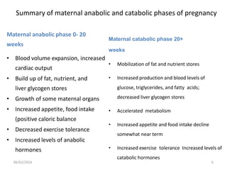 Nutrition during pregnancy public health .pptx