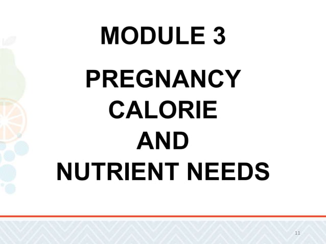 Nutrition During Pregnancy PowerPoint 03 20 2021 | PPTX