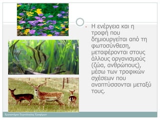 Τα τρόφιμα από ενεργειακη άποψη | PPT
