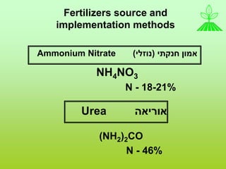 Nutrition eng | PPT | Free Download
