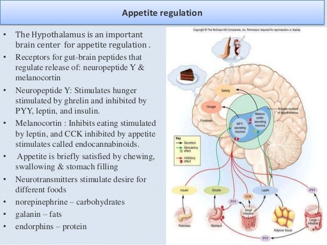 Nutrition final