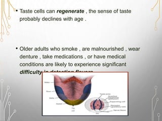 Digestion and Nutrition for Older Adult | PPT