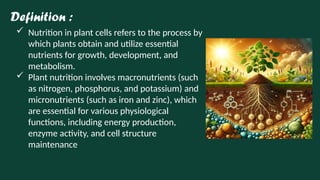 Essential Nutrition For Plant cells.pptx