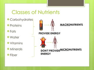 Nutrition Highlight Nutrition Highlight.pptx