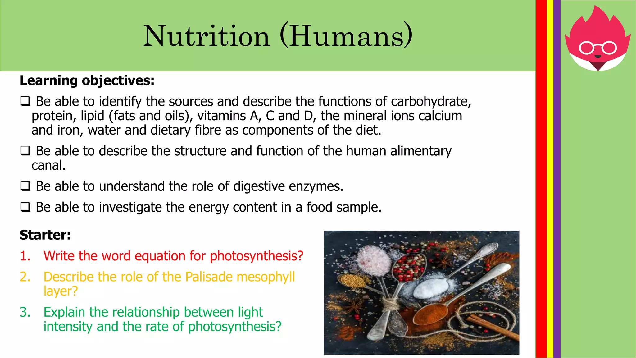 IGCSE Biology Edexcel (9-1)-Nutrition (humans) | PPTX