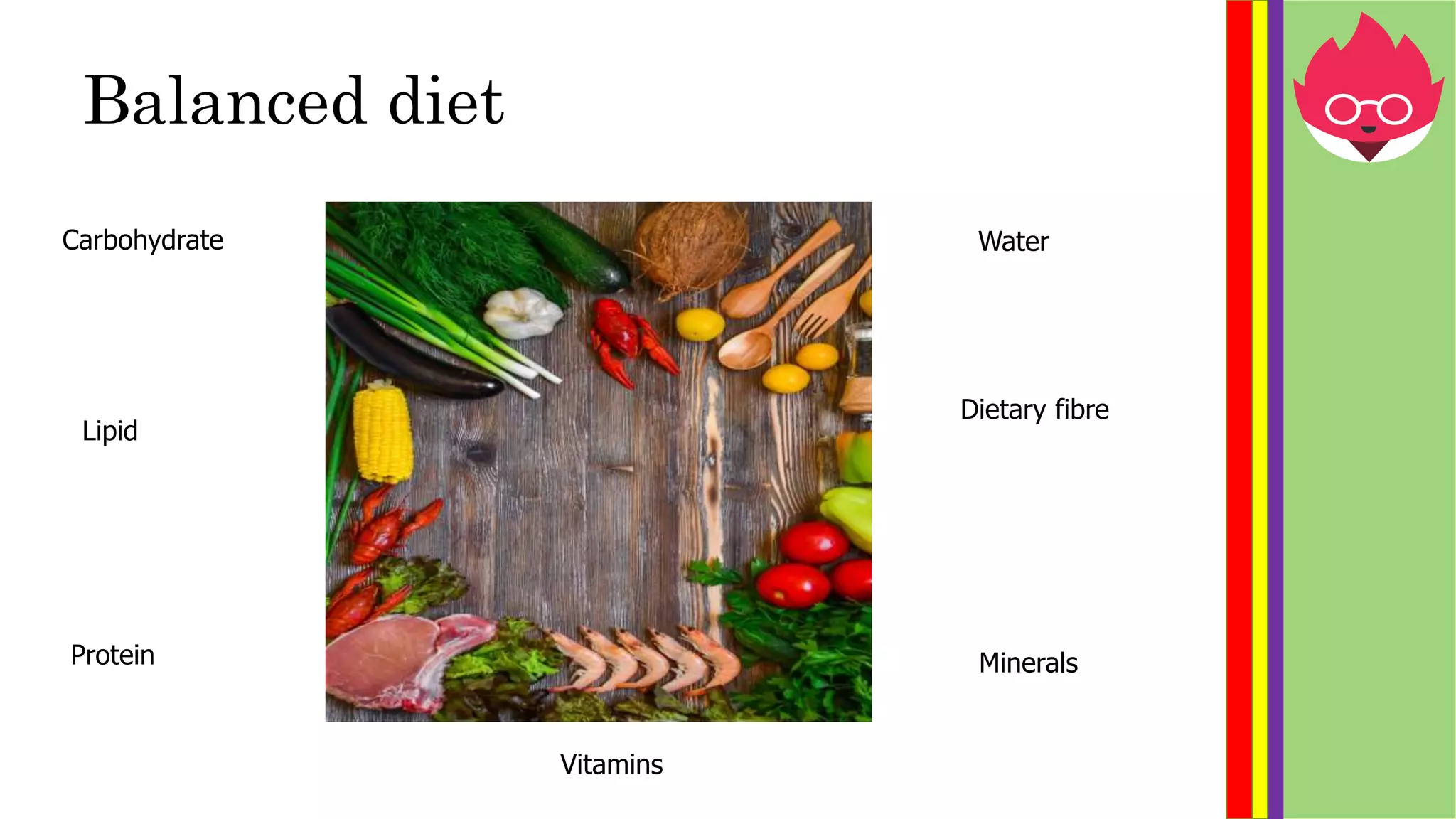 IGCSE Biology Edexcel (9-1)-Nutrition (humans) | PPTX