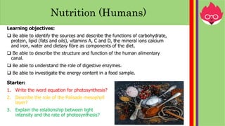 IGCSE Biology Edexcel (9-1)-Nutrition (humans) | PPTX