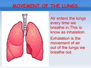 Nutrition ii janeth y chema | PPT