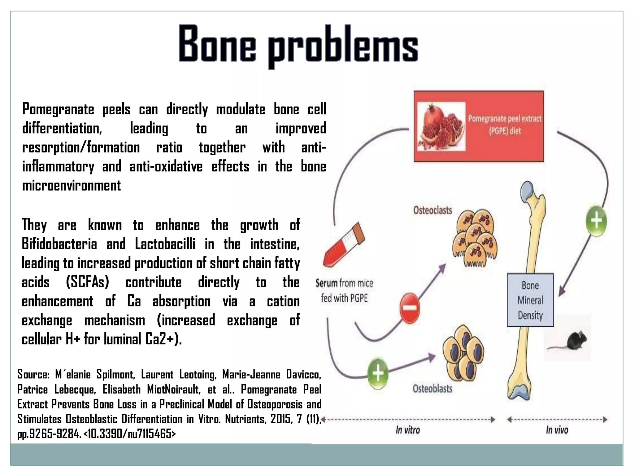 nutrition importance of pomegranate peels.pdf
