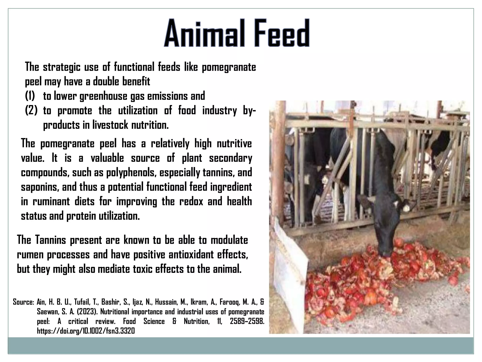 nutrition importance of pomegranate peels.pdf