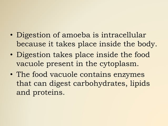 Nutrition in amoeba | PPTX