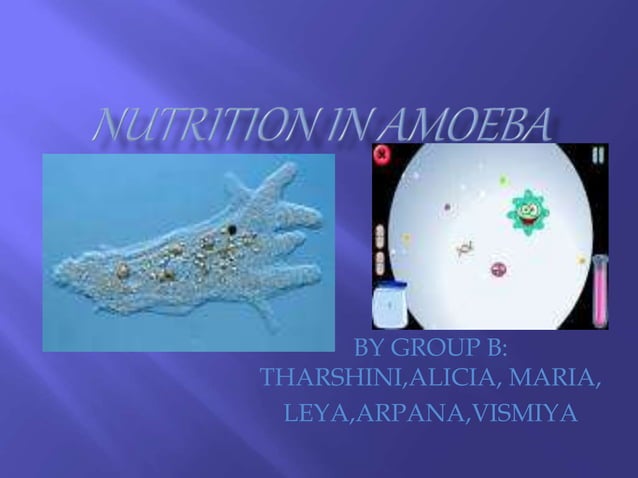 Nutrition in amoeba | PPT