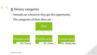 Nutritionin animals | ODP