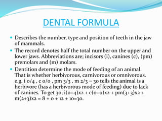 Nutrition in animals by Ratep Ken | PPT