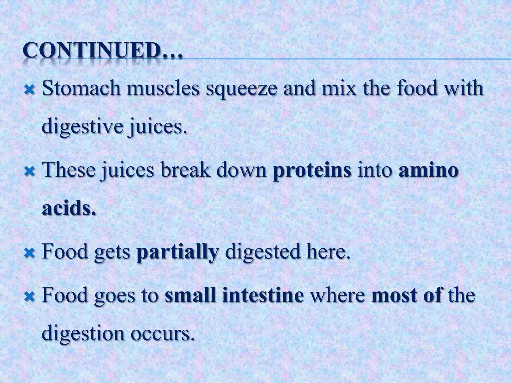 Nutrition in animals | PPTX