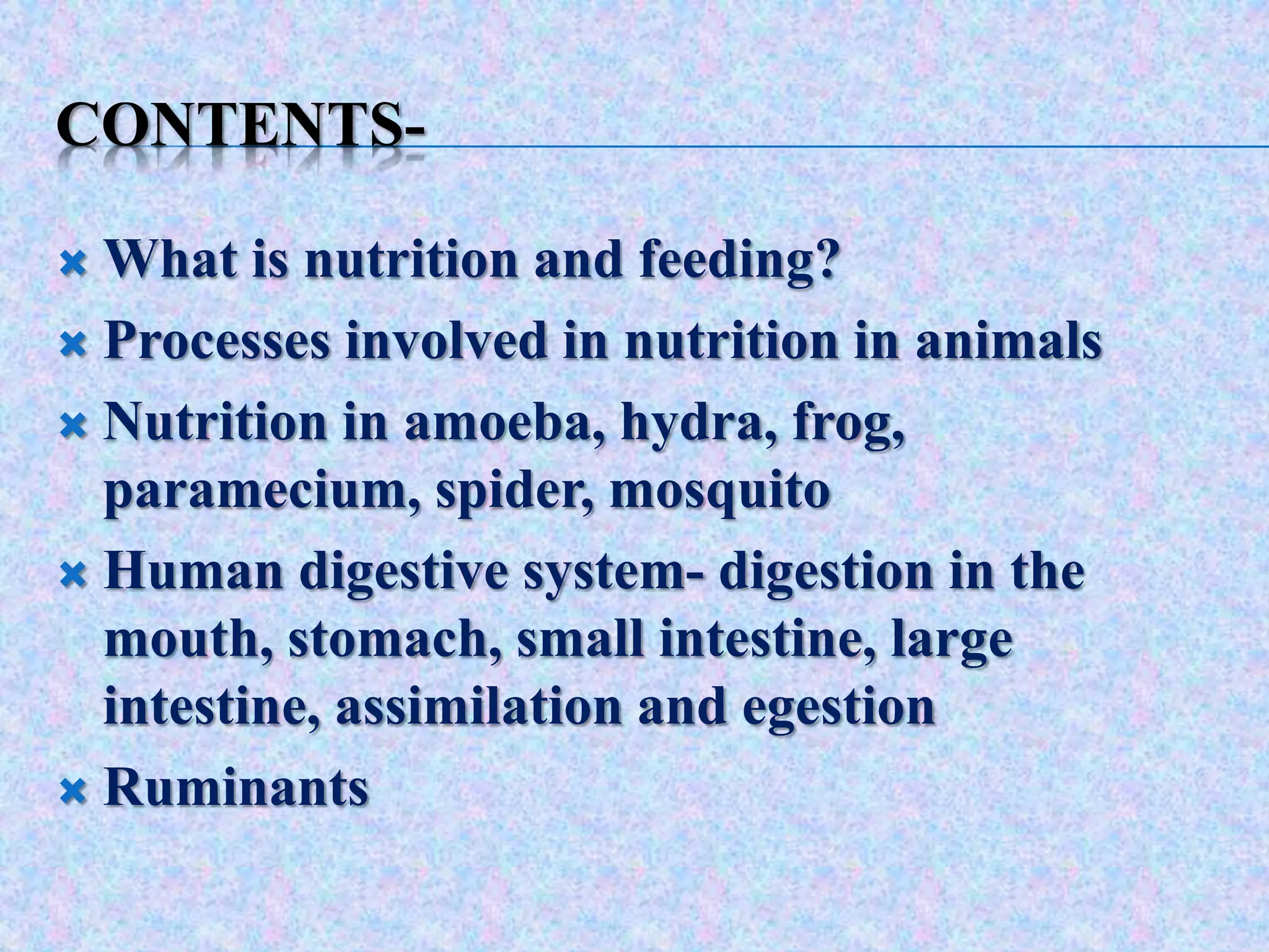 Nutrition in animals | PPTX