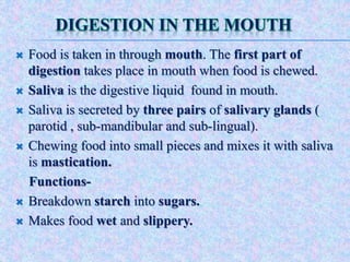 Nutrition in animals | PPTX