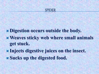 Nutrition in animals | PPTX