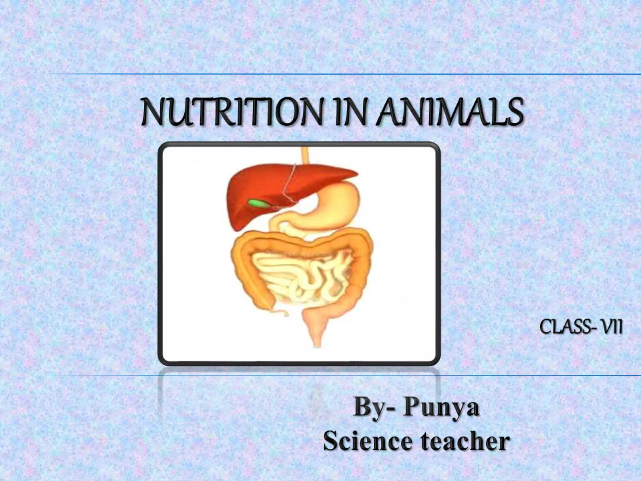 Nutrition in animals | PPTX
