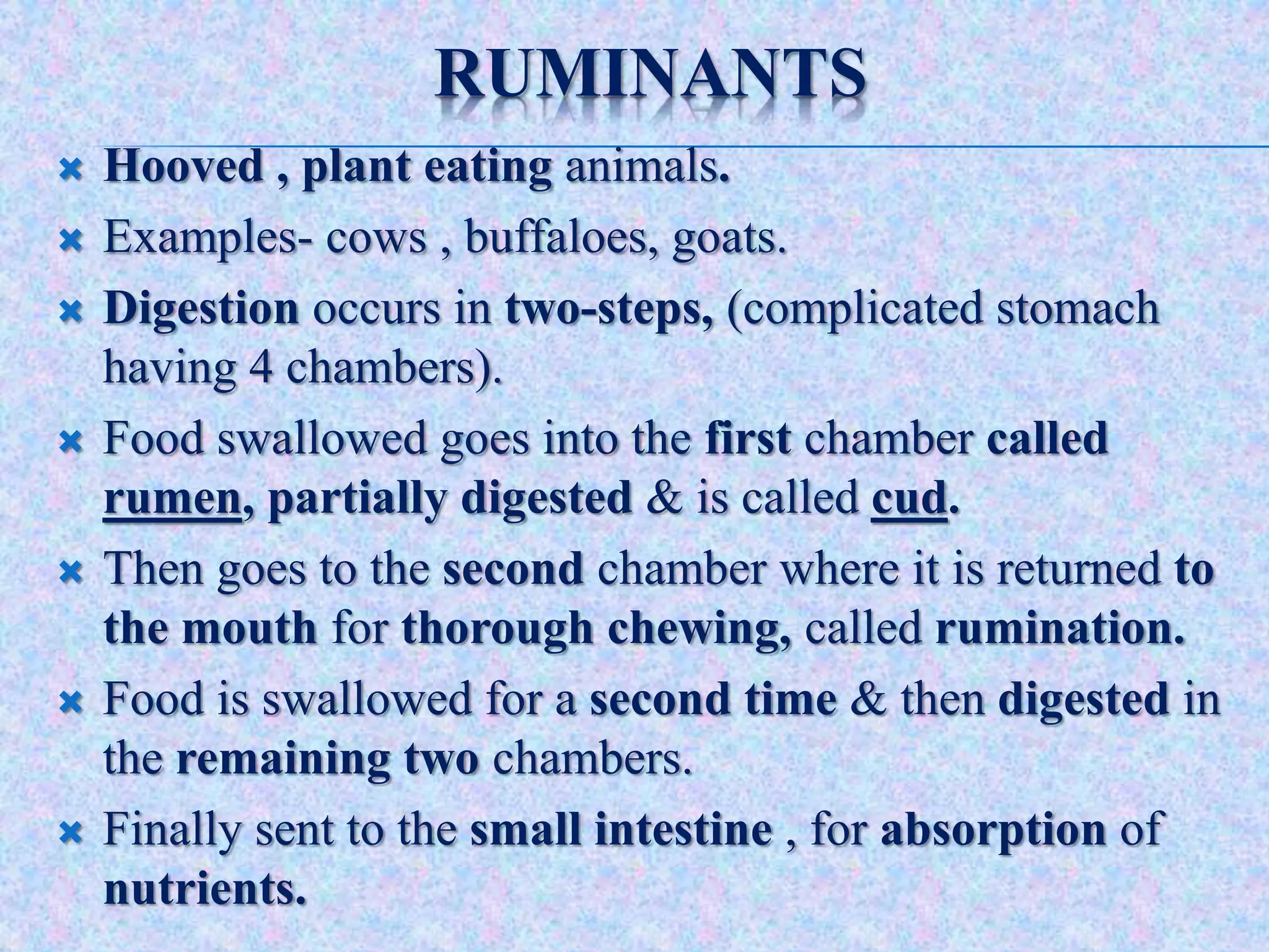Nutrition in animals | PPTX