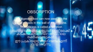 NUTRITION IN ANIMALS.pptx