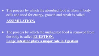 Nutrition in animals 7 | PPT