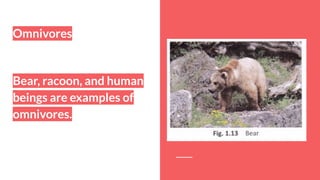 Nutrition in animals 7 | PDF