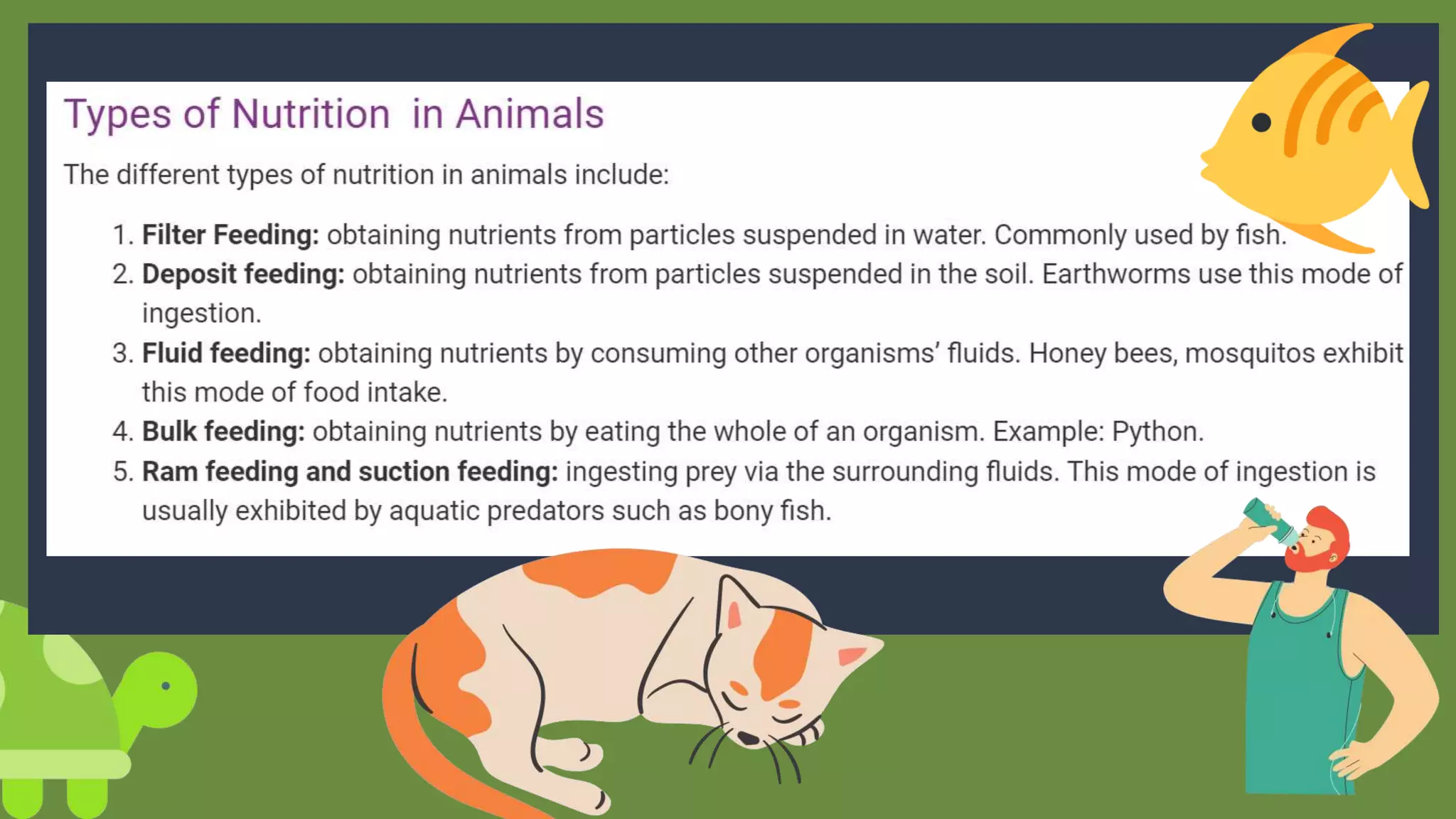 Nutrition in animals | PPT | Free Download