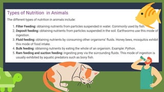 Nutrition in animals | PPT | Free Download