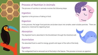 Nutrition in animals | PPT