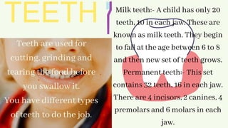 Nutrition in animals | PPT