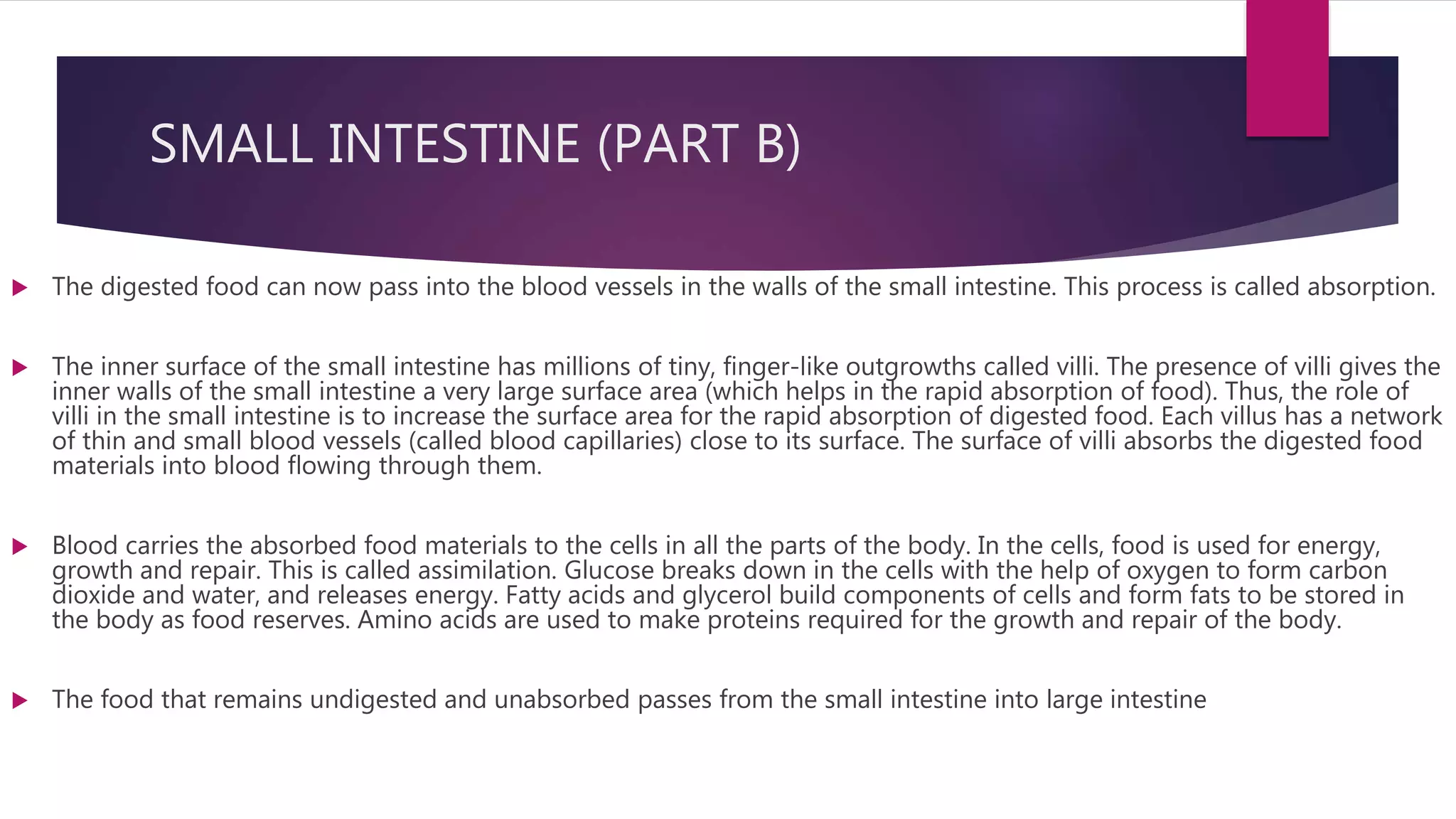 Nutrition in animals chapter 2 | PPTX