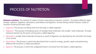Nutrition in animals chapter 2 | PPTX