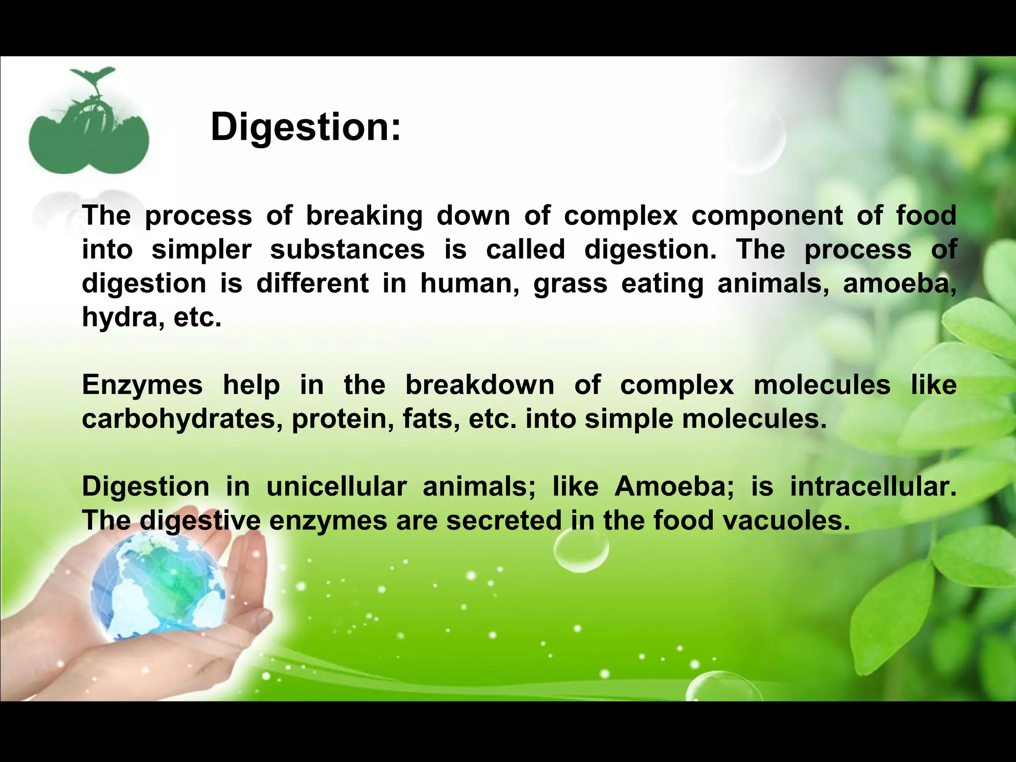 Nutrition in animals class vii | PPT