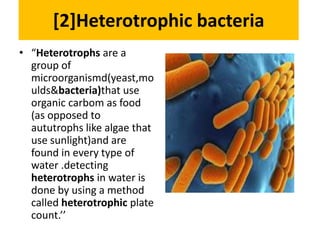 Nutrition in bacteria | PPTX