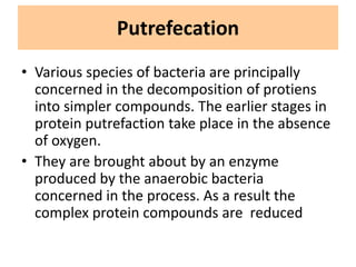 Nutrition in bacteria | PPTX