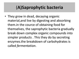 Saprophytic Bacteria