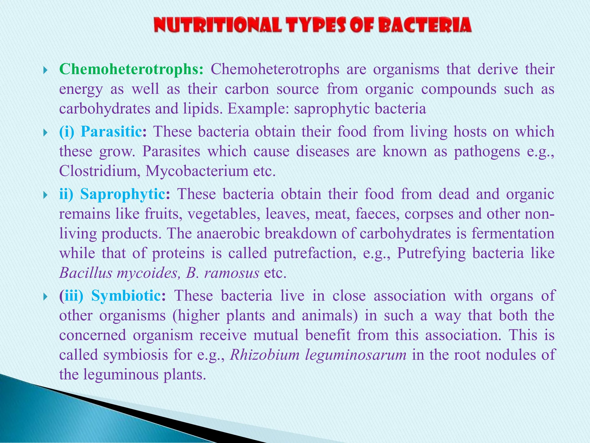 NUTRITION IN BACTERIA.pdf