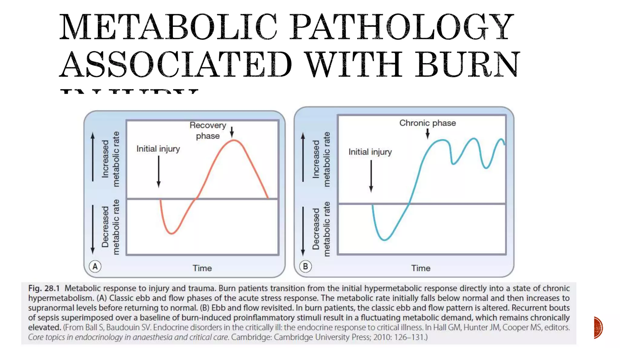 Nutrition in burns (2) | PPTX