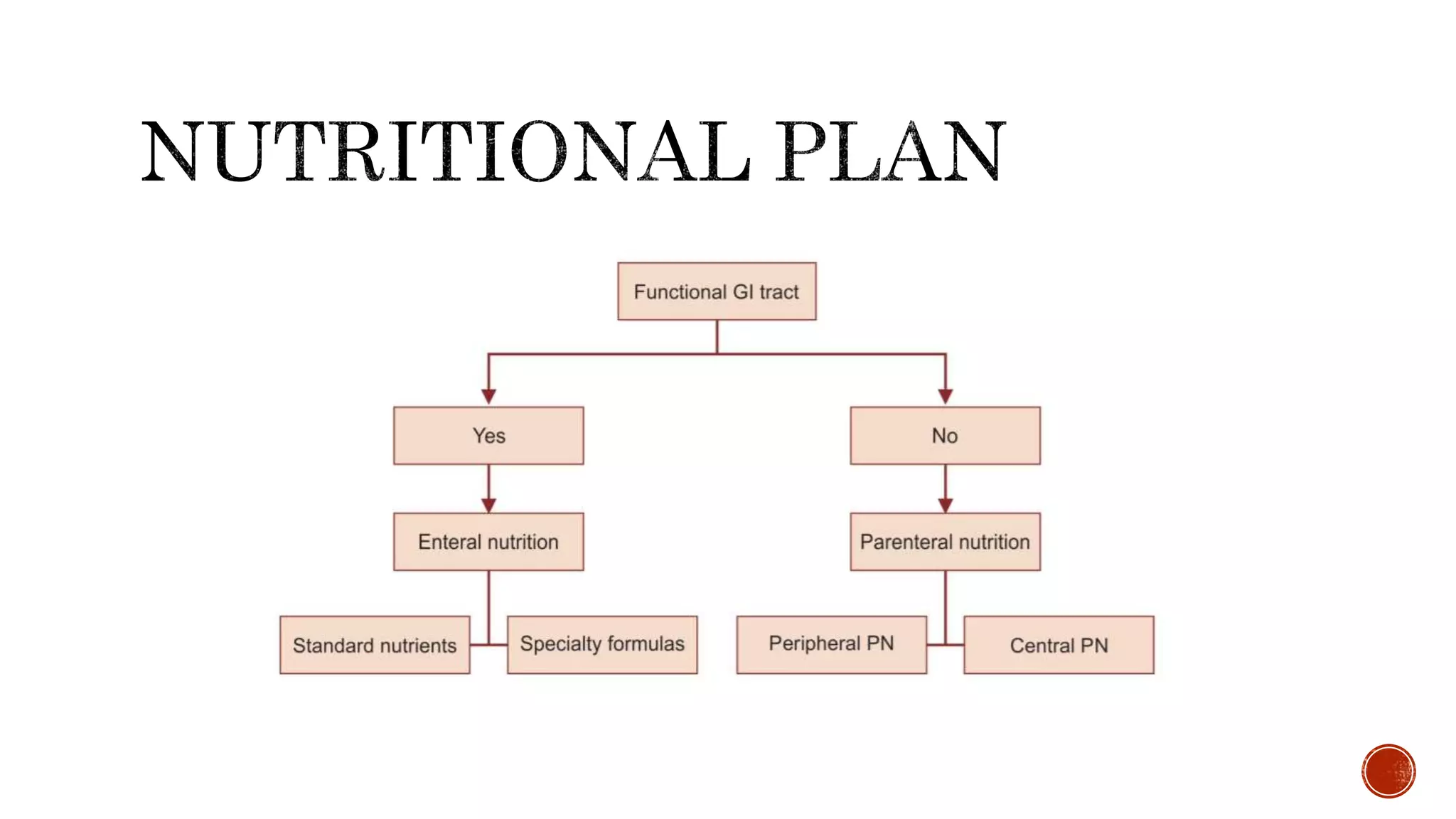 Nutrition in critically ill patients | PPTX