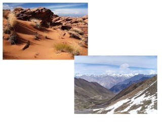 Nutrition in extreme environmental conditions | PPTX