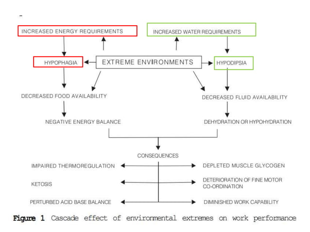 Nutrition in extreme environmental conditions | PPTX