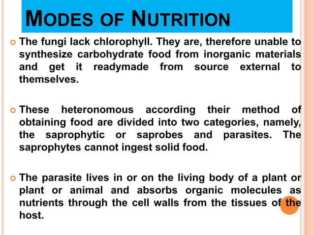 Nutrition in fungi | PPTX | Biological Sciences | Science