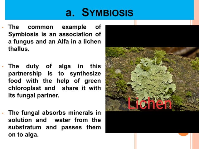 Nutrition in fungi | PPTX | Biological Sciences | Science
