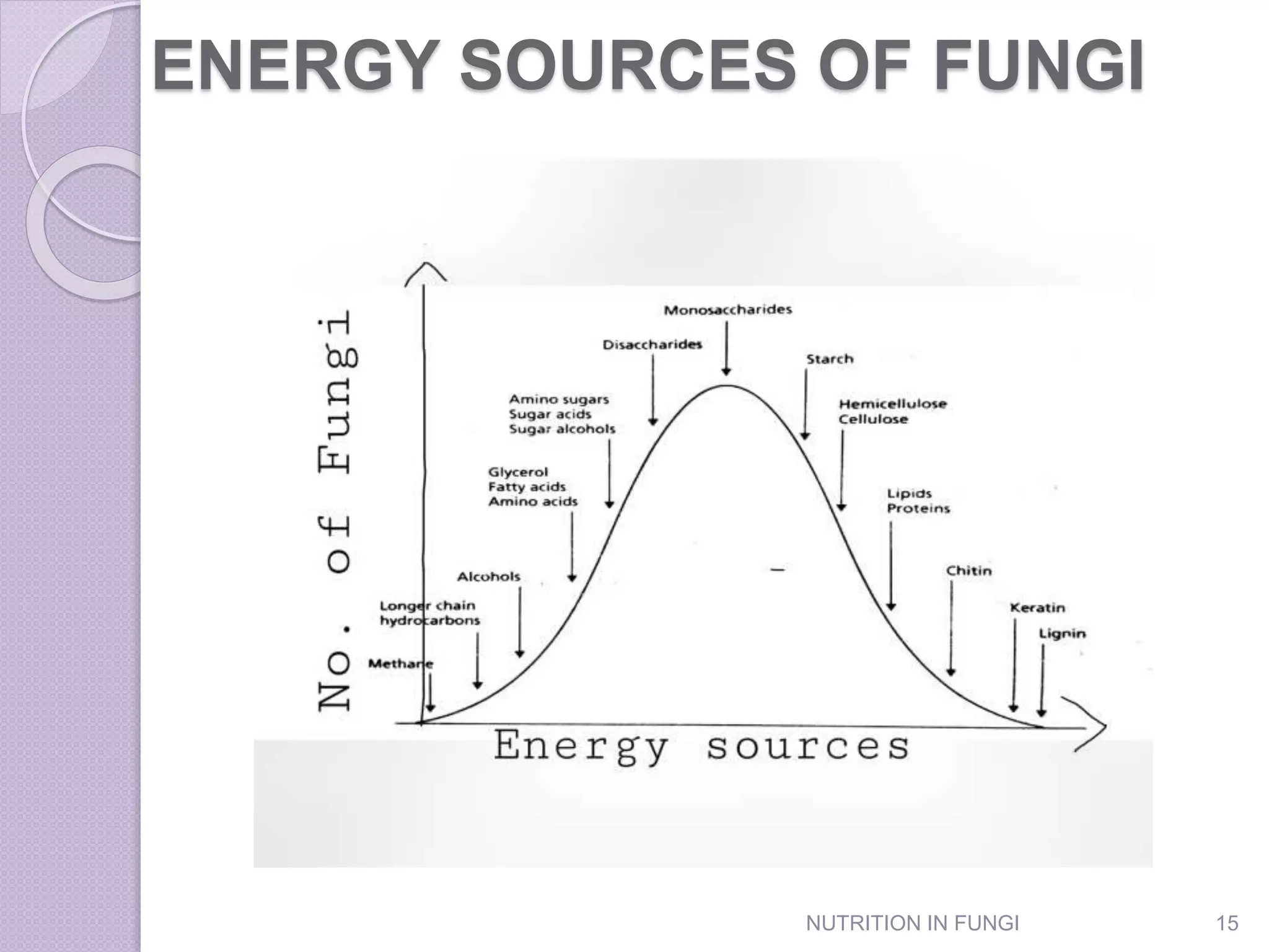 Nutrition in Fungi | PPTX