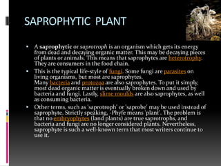 Nutrition in living organisms | PPTX