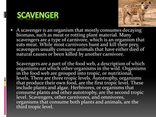 Nutrition in living organisms | PPTX