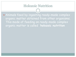 Nutrition in mammals | PPT